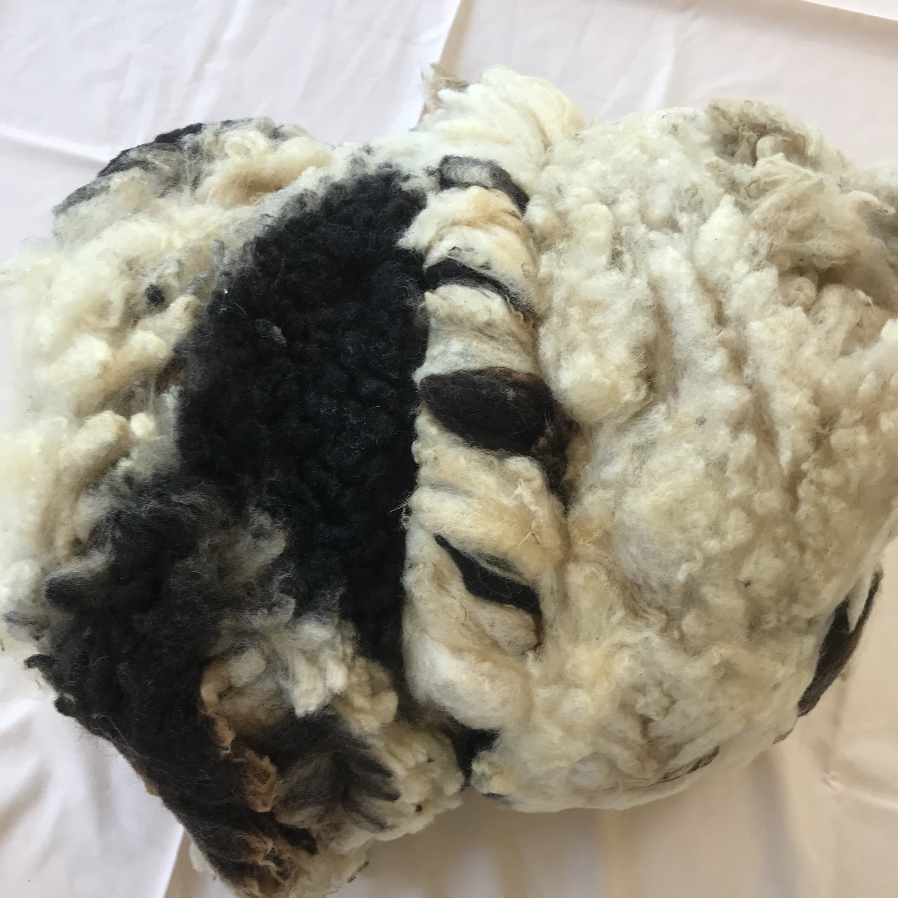 Fleeces – Sorting and Washing – Beechwood Crafts