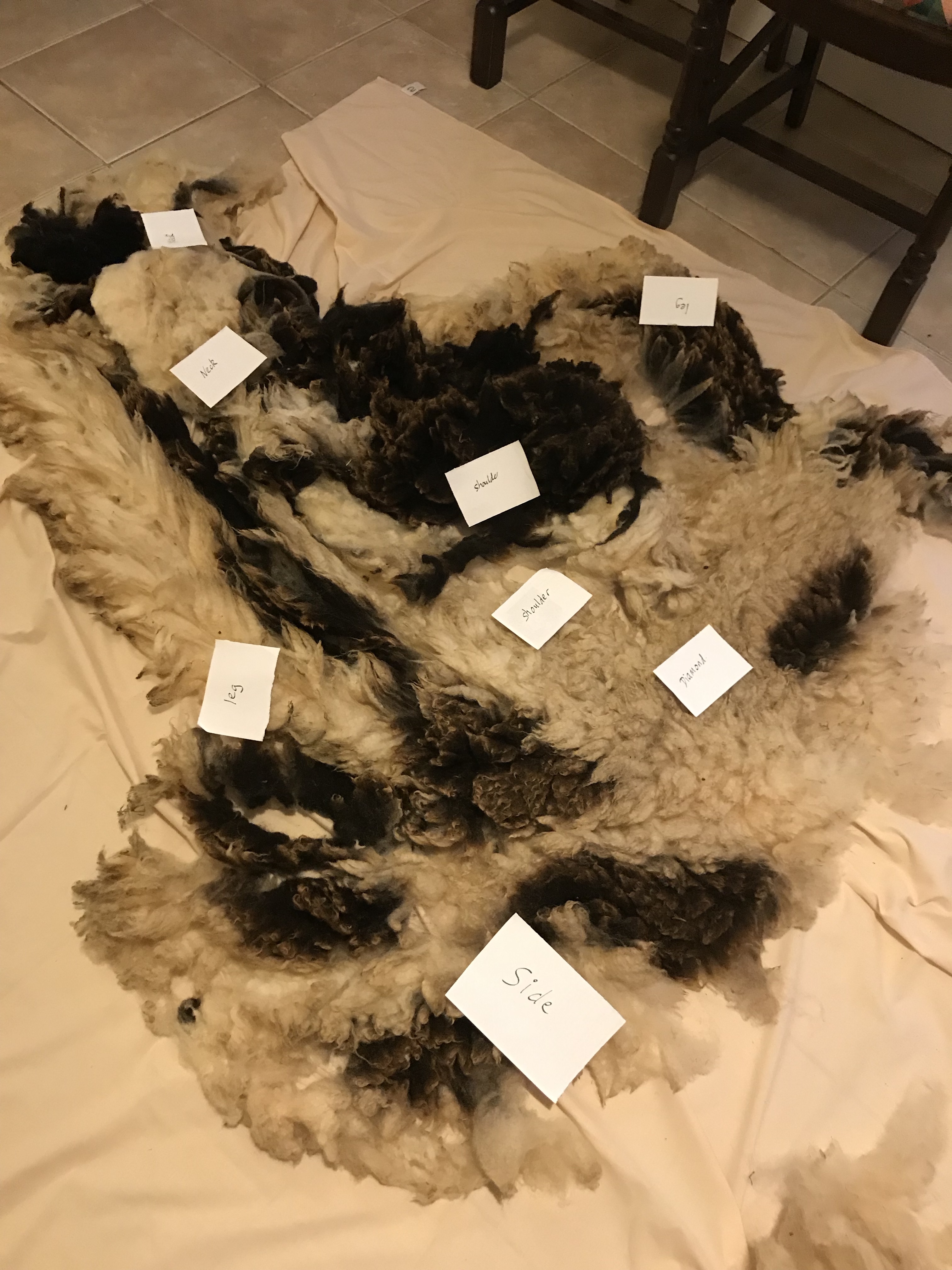 Fleeces – Sorting and Washing – Beechwood Crafts